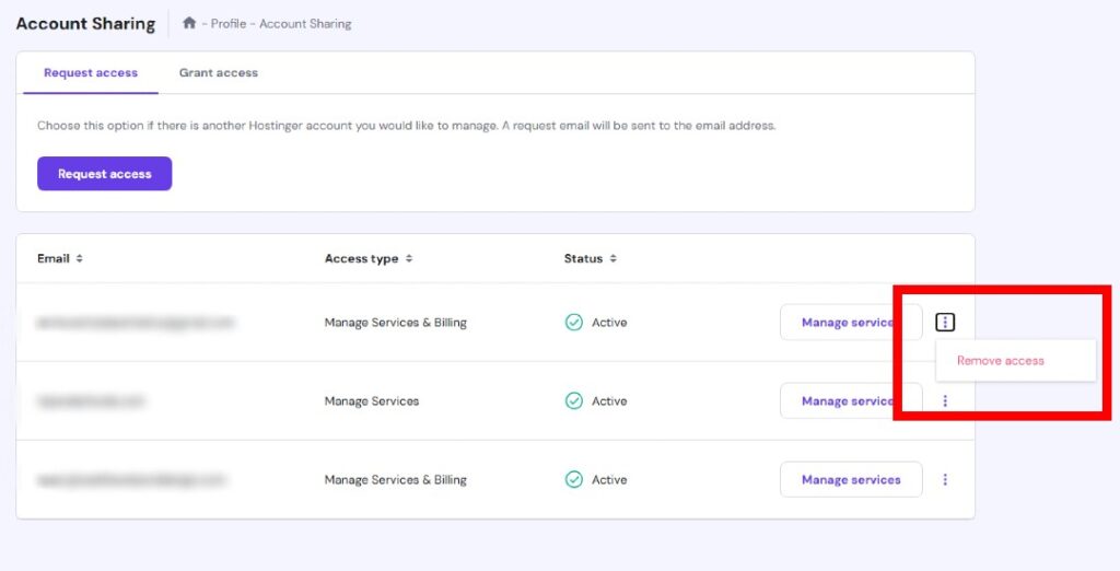 Adding Delegate Access to Your Hostinger Account • Austin Web & Design